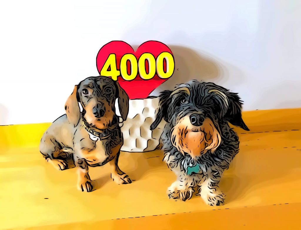 Seis regalos para celebrar San Valentín con tu perro